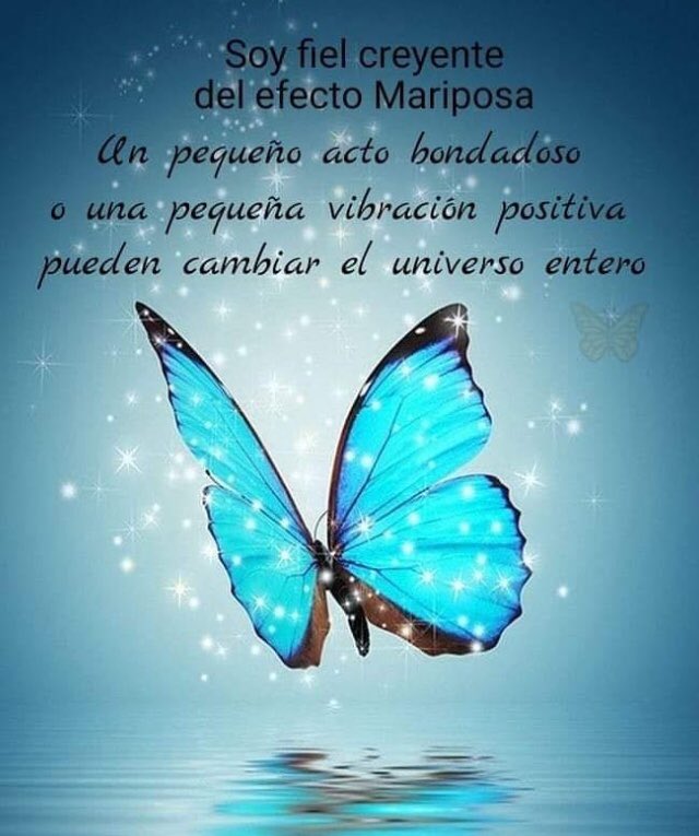 Efecto Mariposa Quotes 9 Ideas De Efecto Mariposa | Efecto Mariposa,
