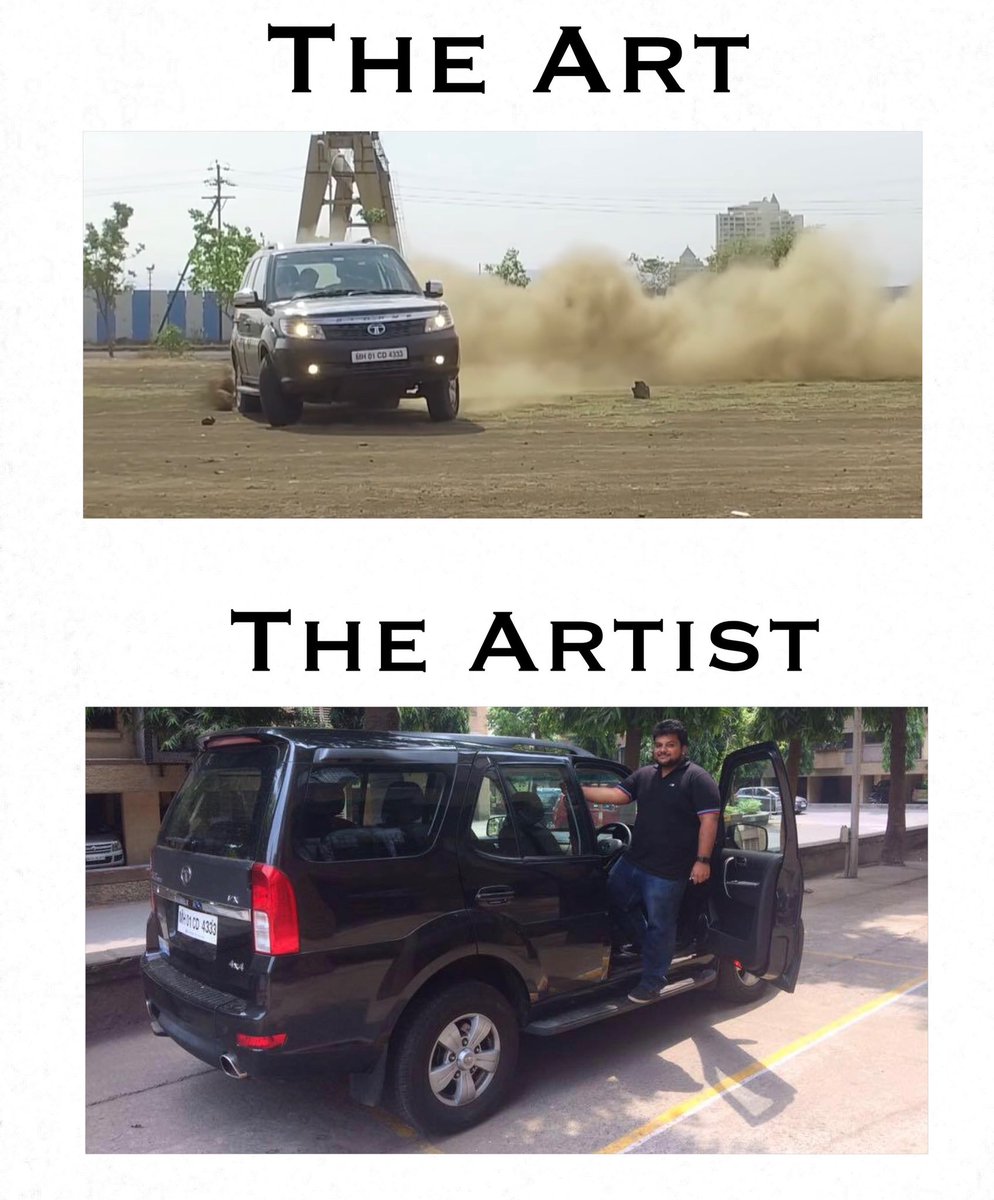 Safari Memes Safari Meme | TikTok
