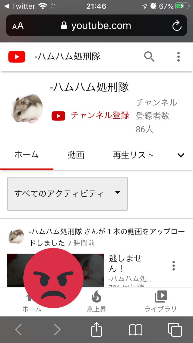 いんさいと On Twitter ハムハム処刑隊リツイートしたけどもう一度投稿。 Youtubeに通報よりも他の手段で通報しないと犯人は