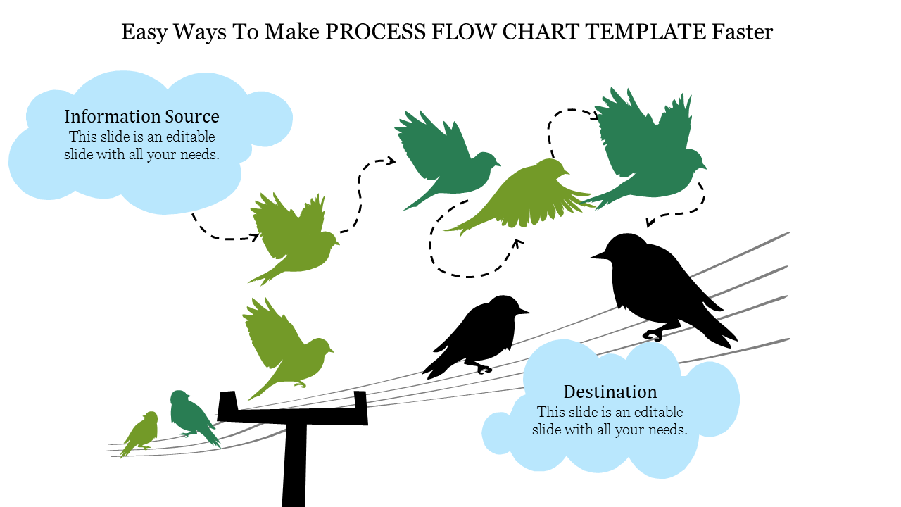 Bird Flow Chart