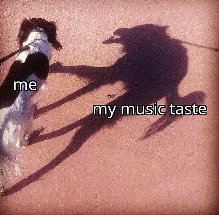 Music Taste Memes