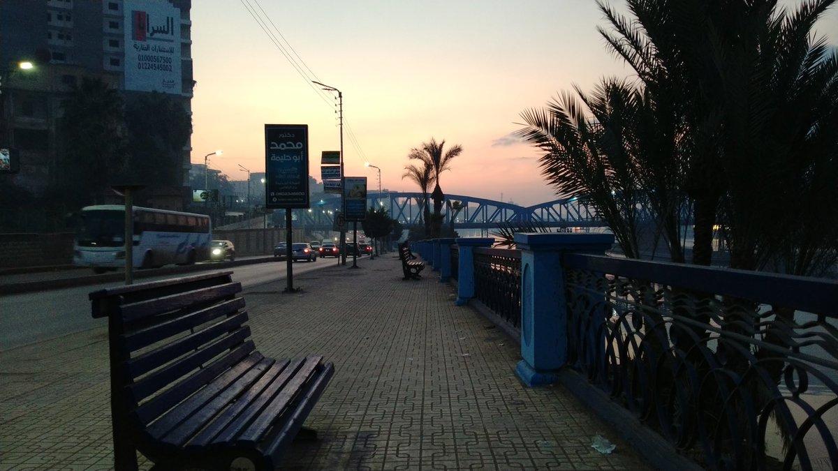 Doha Gamal (@DohaGam82697159) | Twitter