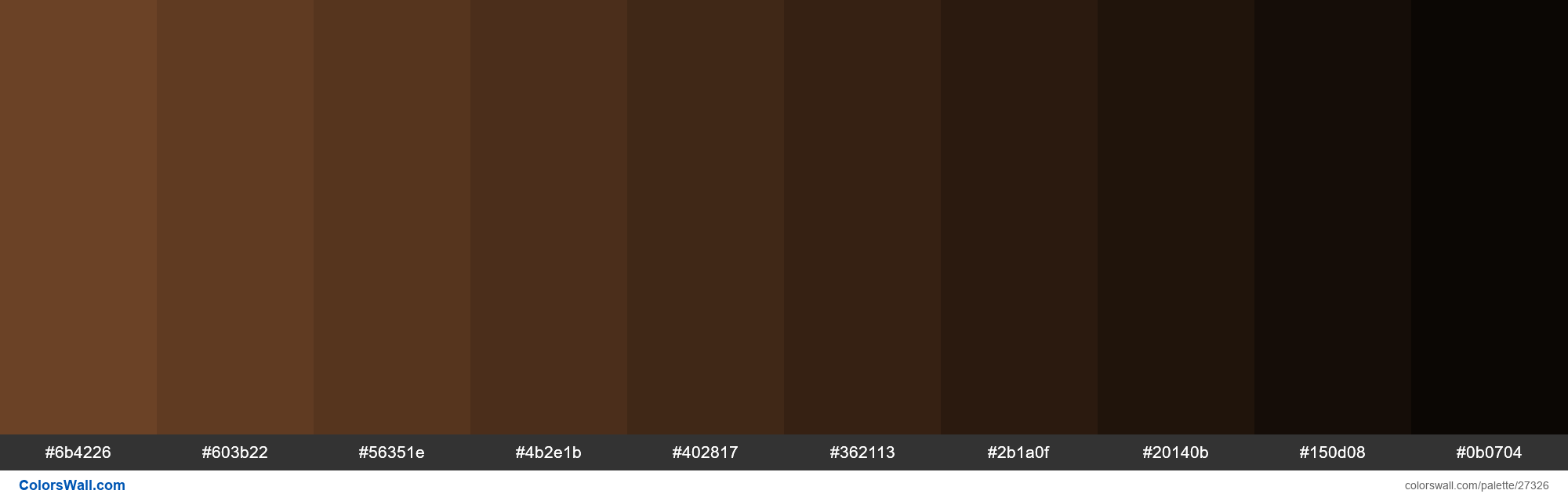 Chocolate Color Swatch