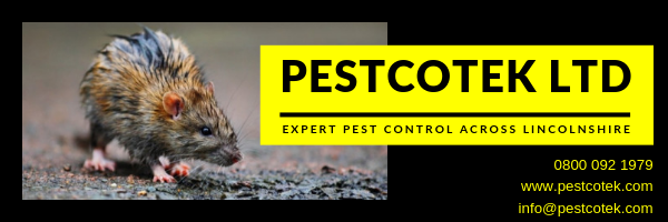 Pestcotek Ltd on Twitter: "Rats, Mice, Bedbugs, Fleas, Flies, Moths, Wasps, Bees, Ants, Moles ...