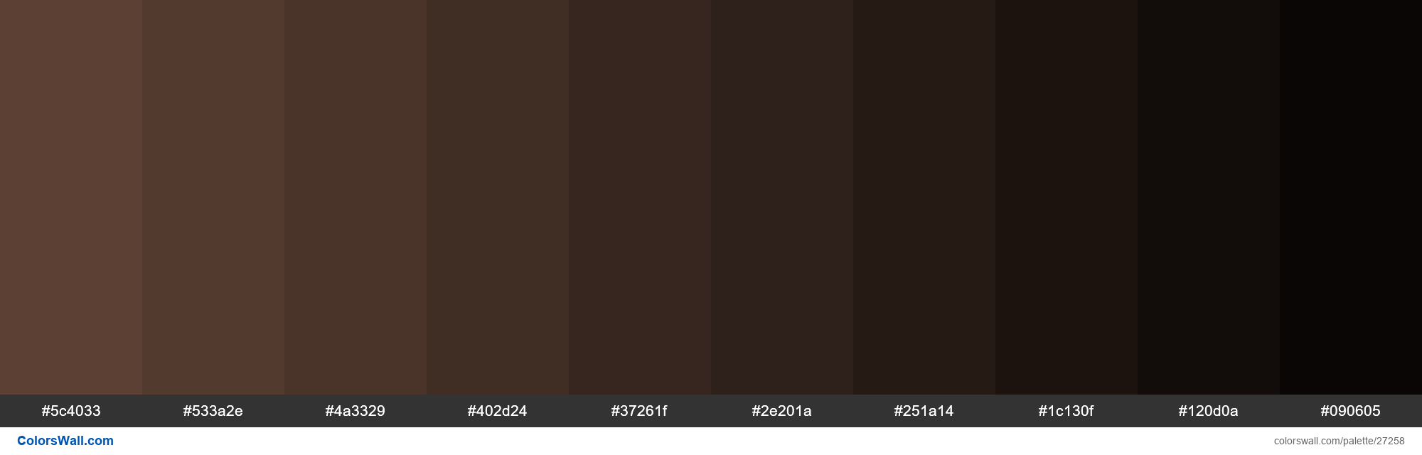 Light Brown Color Swatch