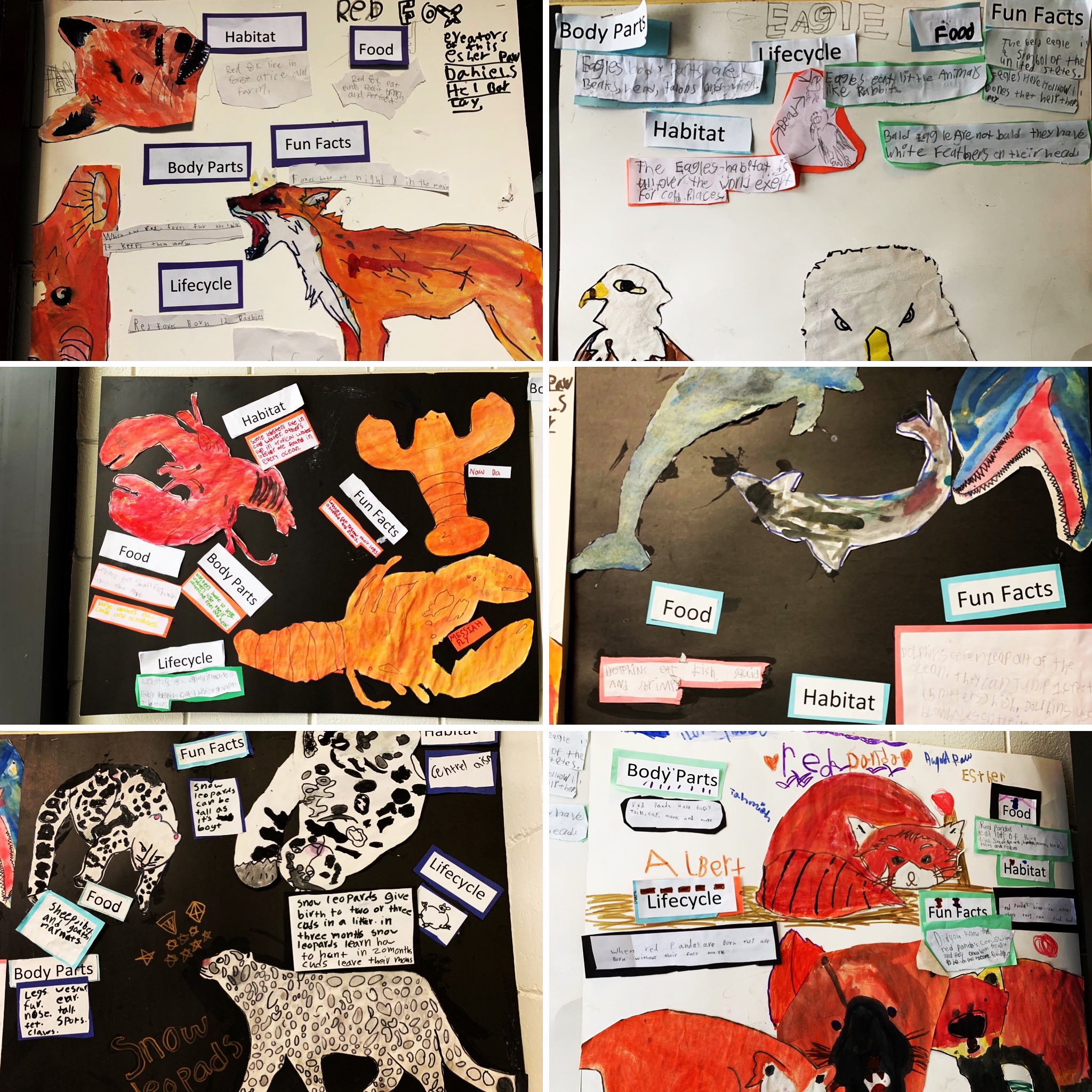 SPMA on Twitter: "Check out these amazing animal research posters ...