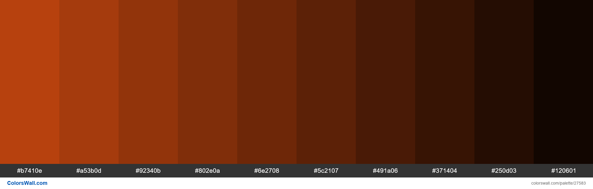 Rust Color Swatch