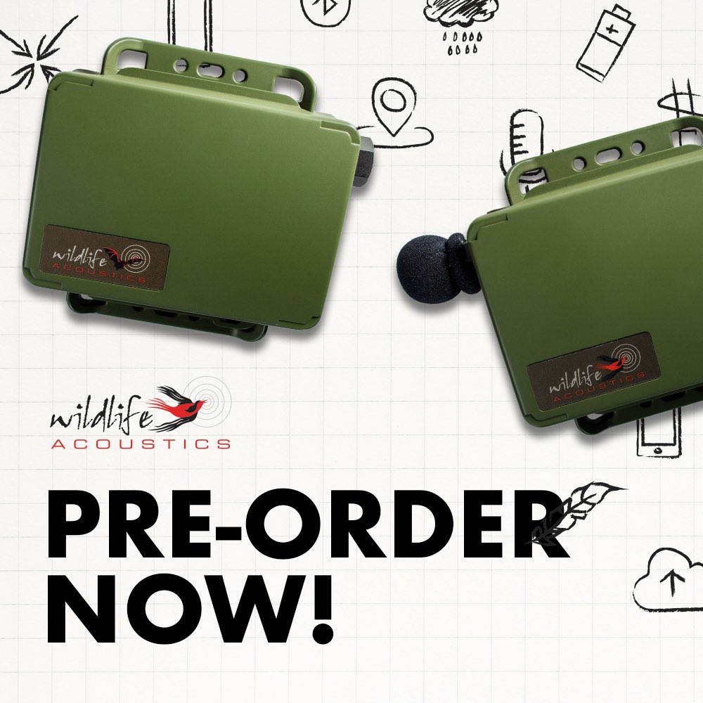 Song Meter Mini How To Add A Second Microphone Identify And, 47% OFF