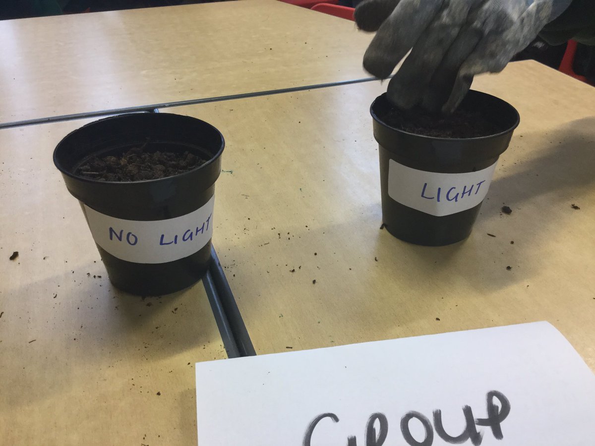 Springfield Primary School | Hackney, London