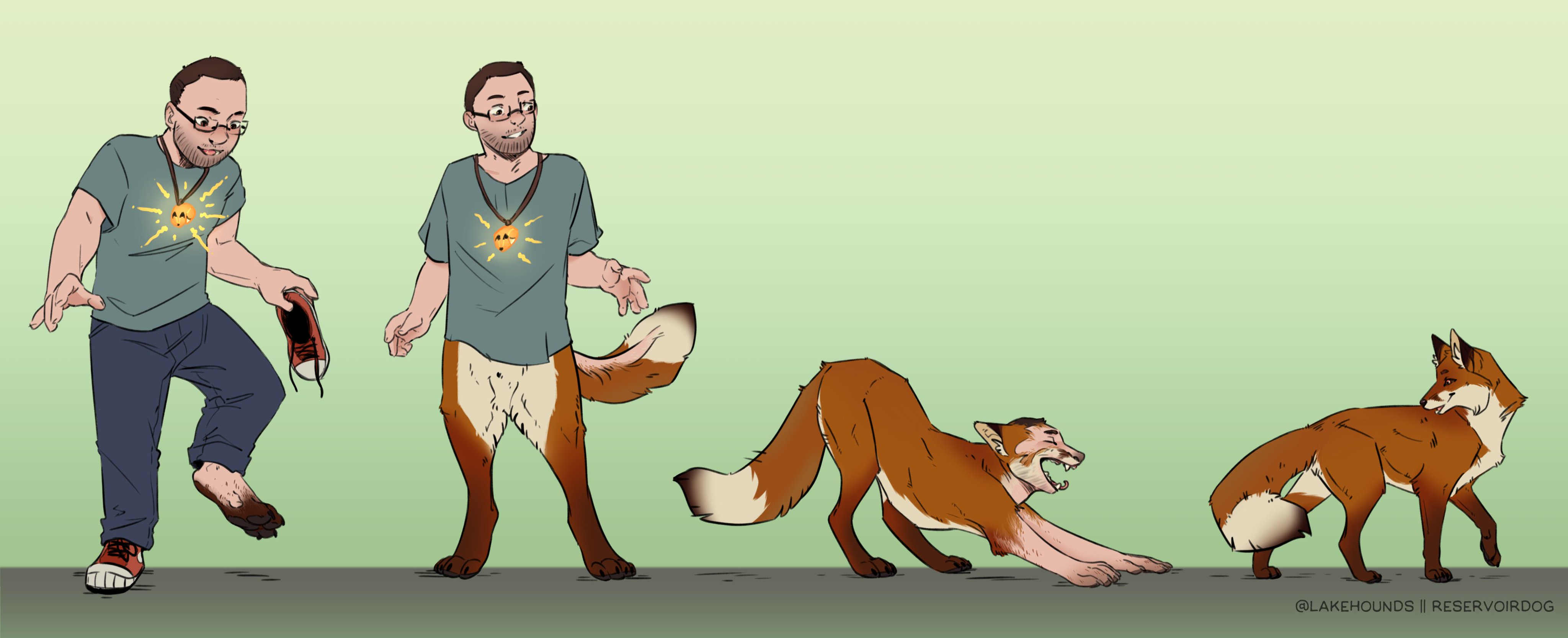 Dog Transformation Sequence