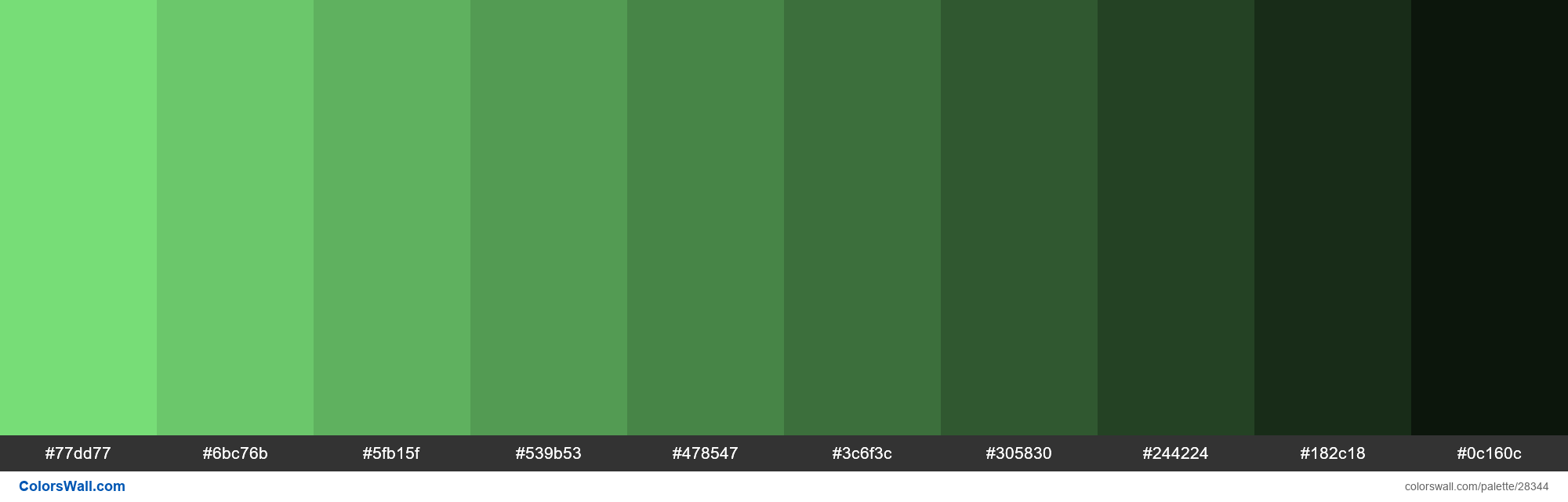 35 Best Green Color Palettes With Names And Hex Codes –, 46% OFF