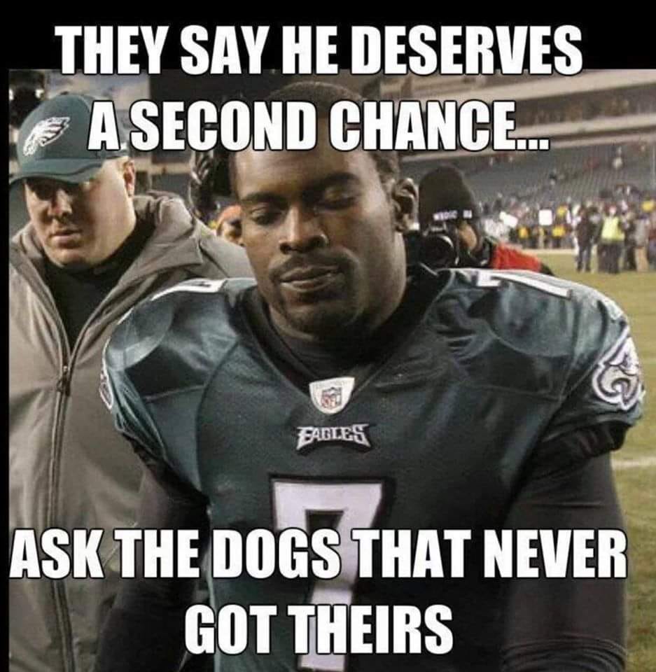 Dagmar Grabsch on Twitter: "PLS Speak Out…