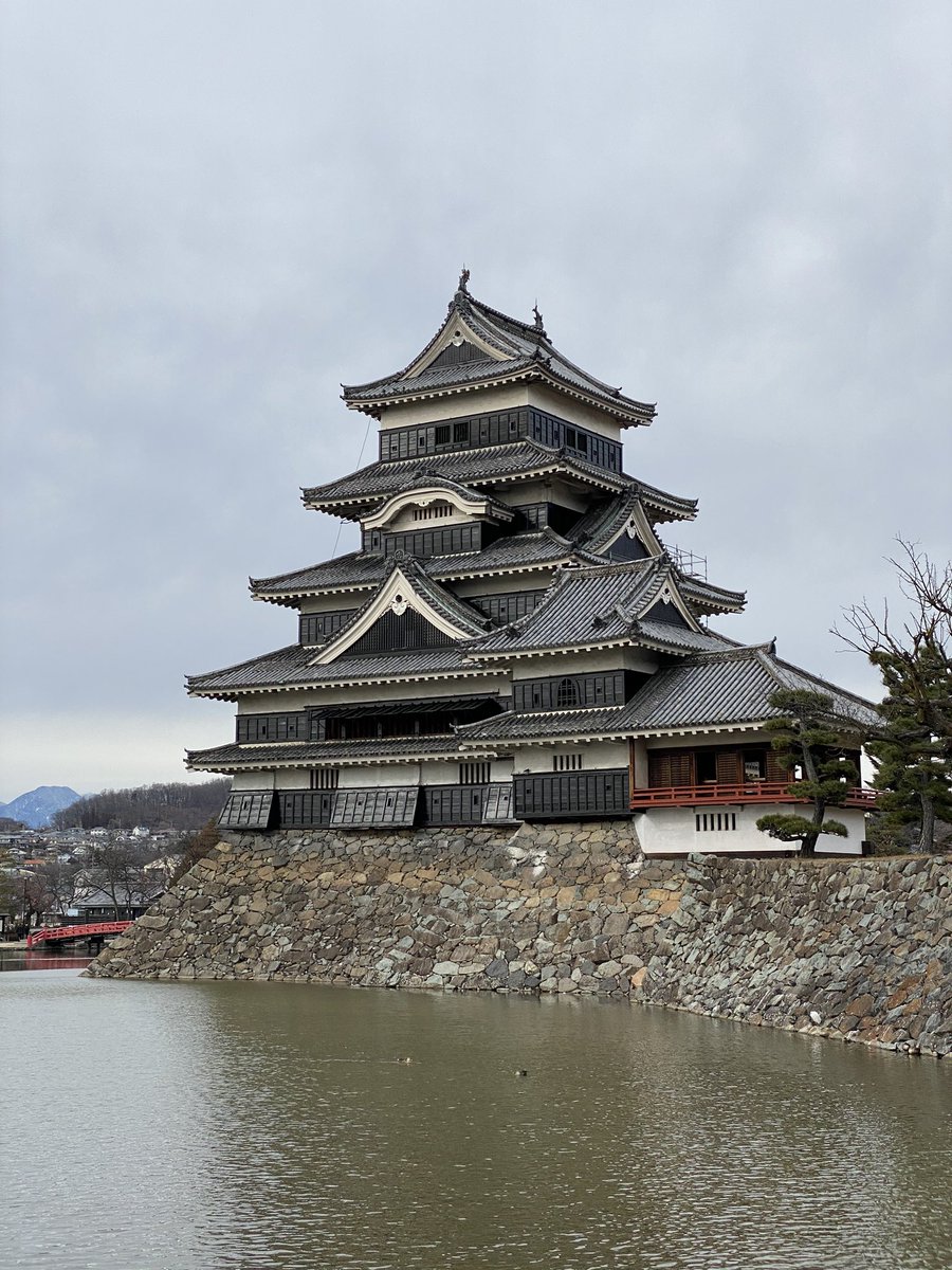 eggry on Twitter: "잉어 봐라…