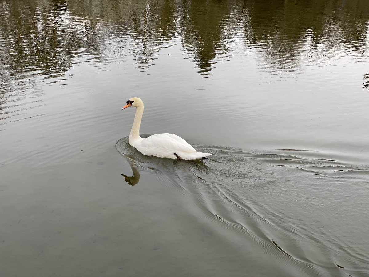 eggry on Twitter: "히메와 신슈 사무라이…