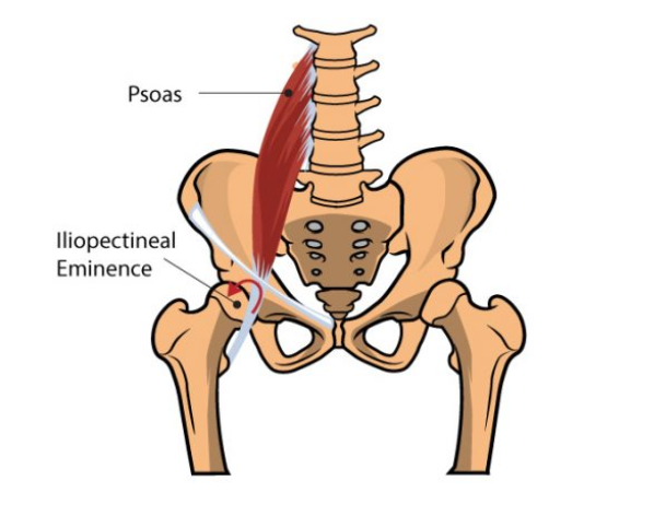 Iliopectineal Eminence Snapping Hip