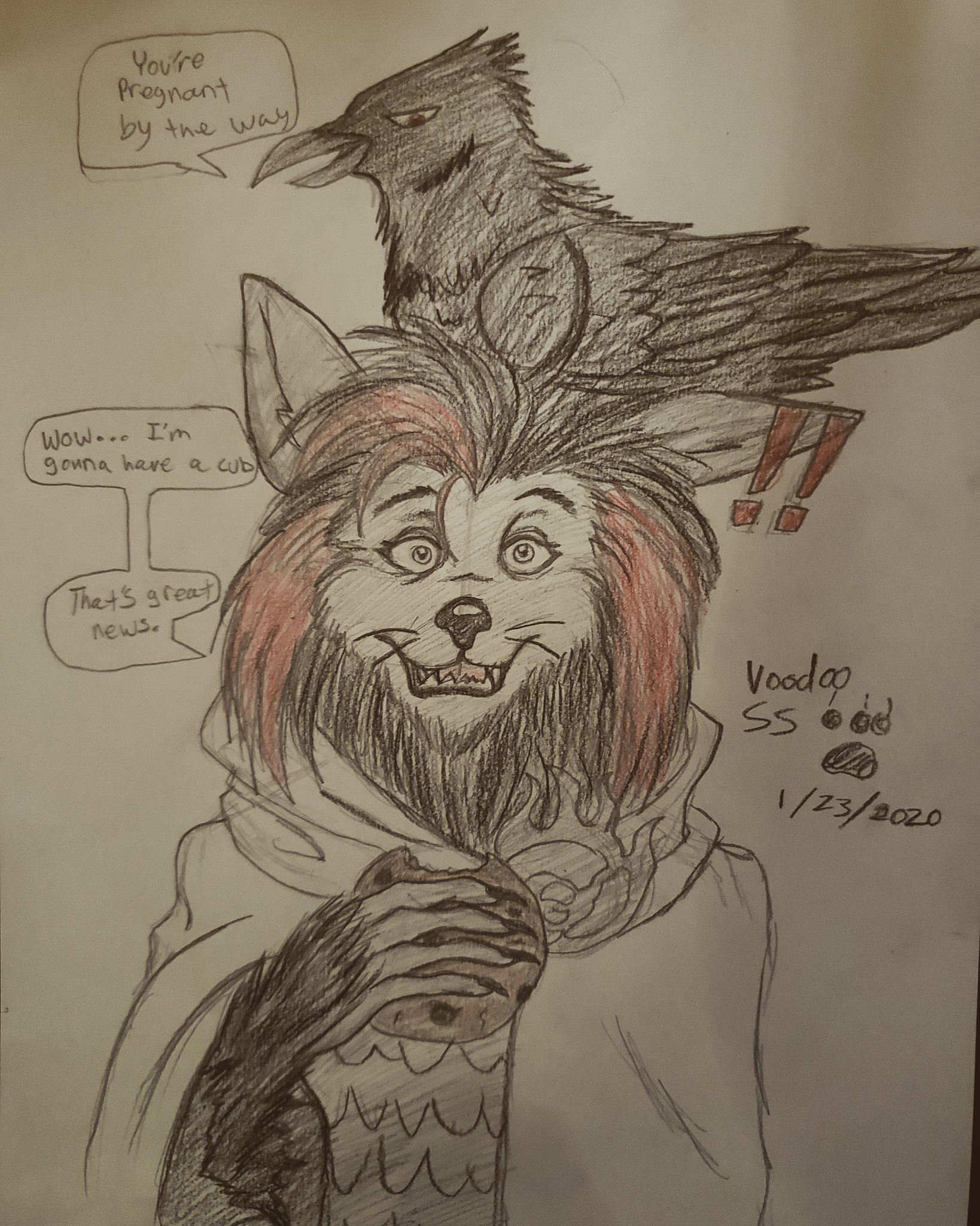 Pregnant Wolf Drawing