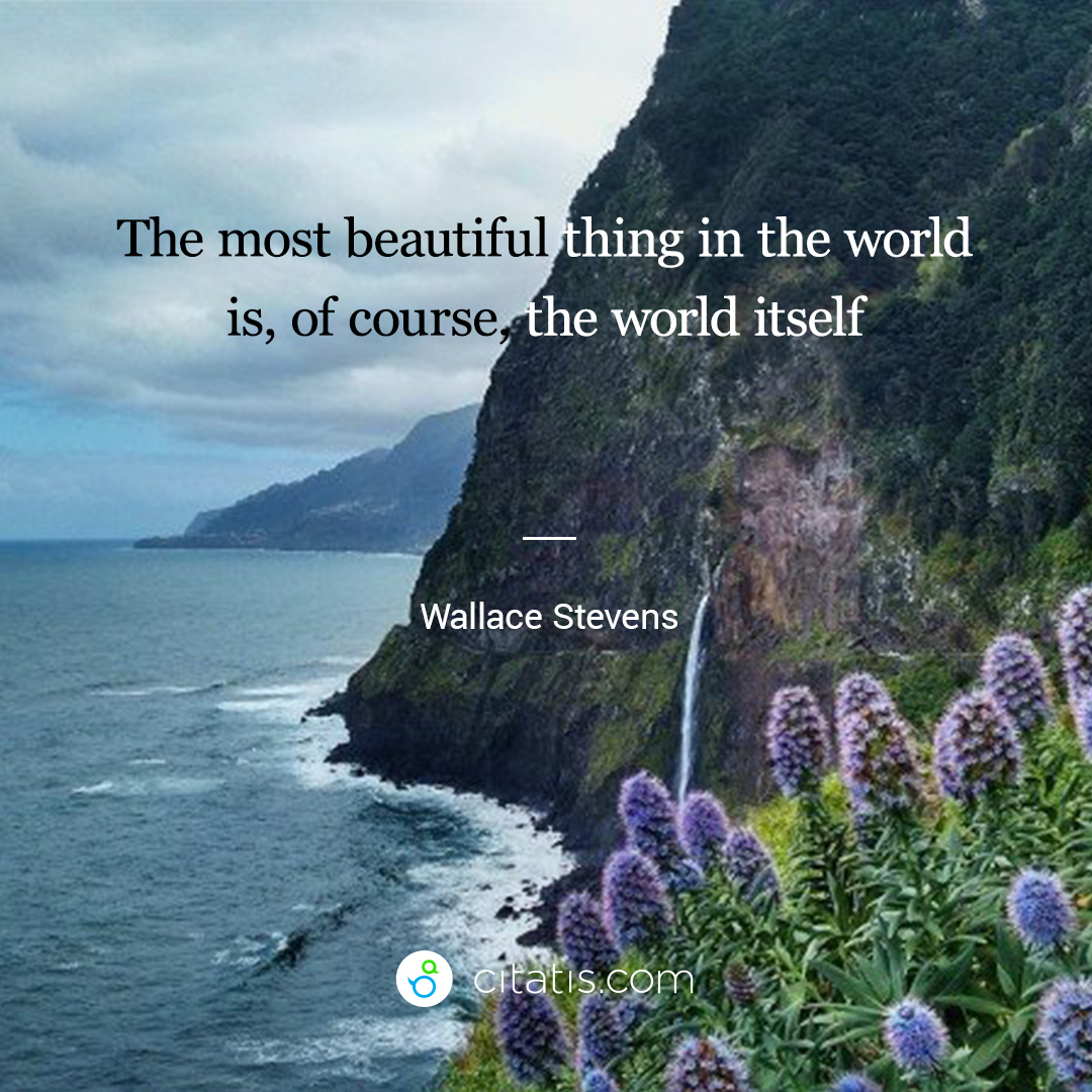 Most Beautiful Thing In The World