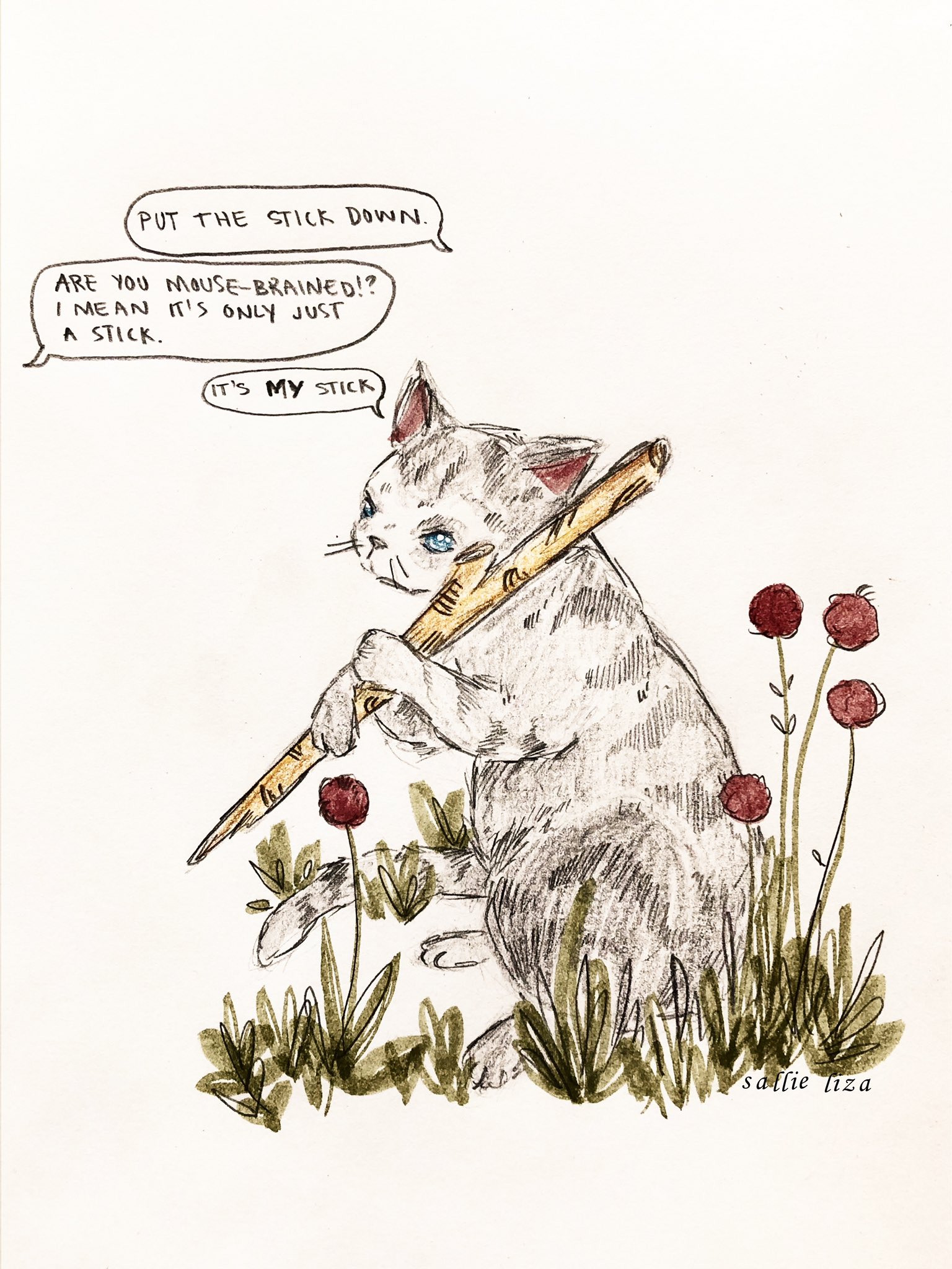 Warriors Cats Jayfeather And His Stick