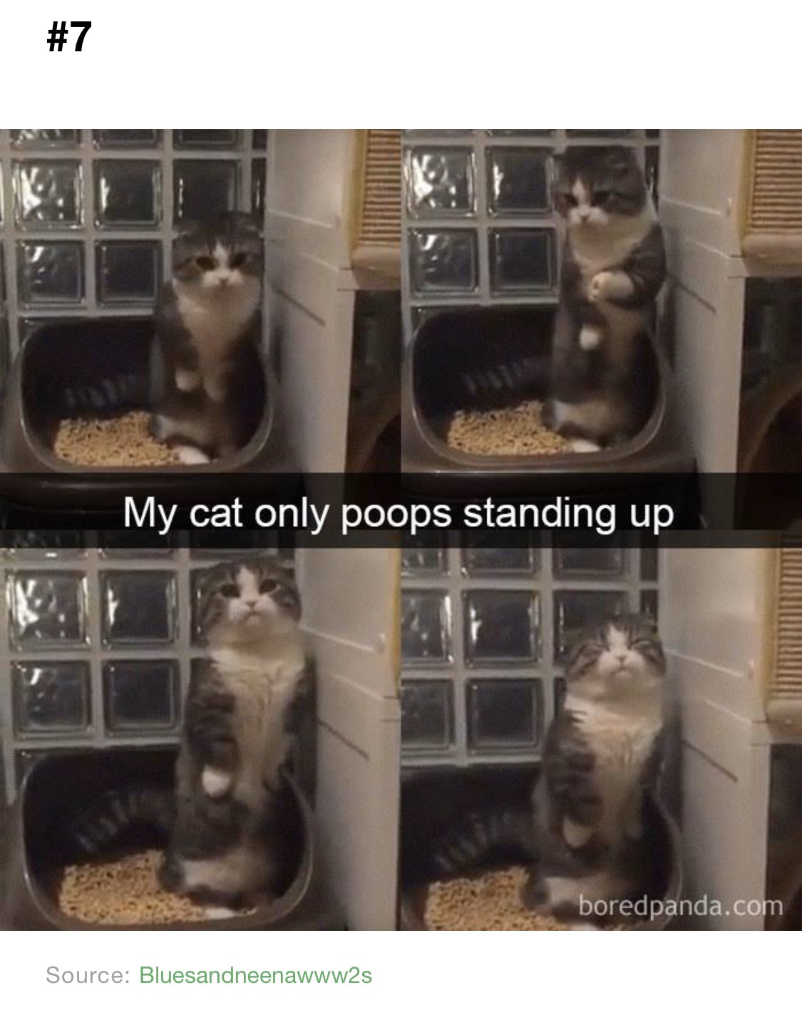 Taking A Shit Face Meme