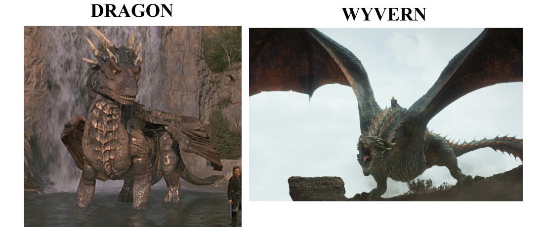 Dragons And Wyverns