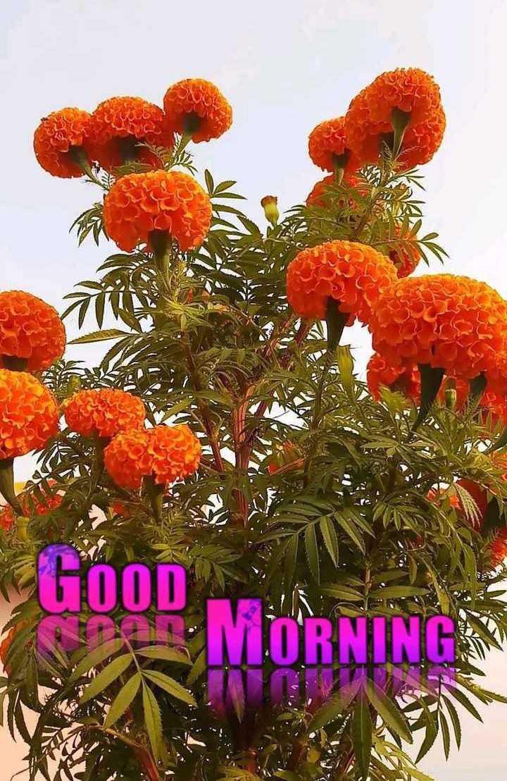 Devakumar (@Devakum27710080) | Twitter