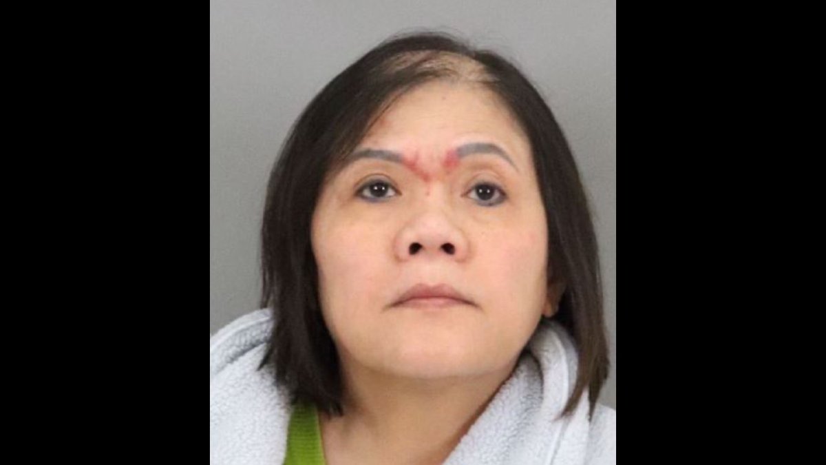 Alleged “madam” Monica “Amy” Dien Tien Ho, Richard Yoo & “house ...