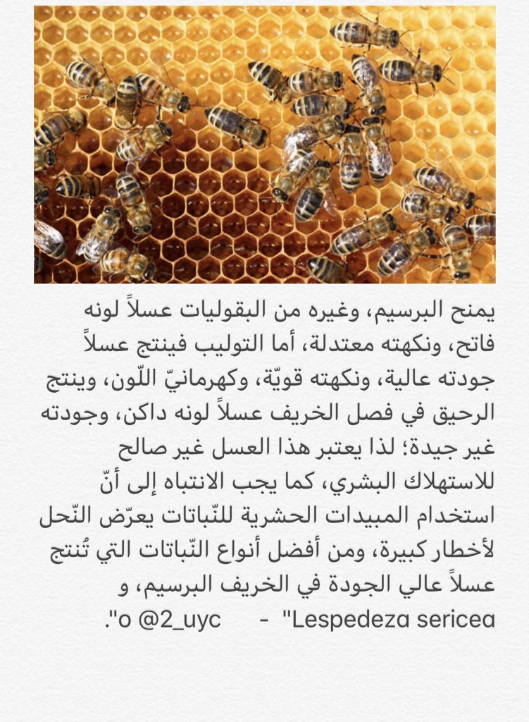 يوجد ما يُقارب 20000 نوع مختلف من النحل، مصنف ضمن تسع عائلات ومن بين الأنواع نحل العسل بعض