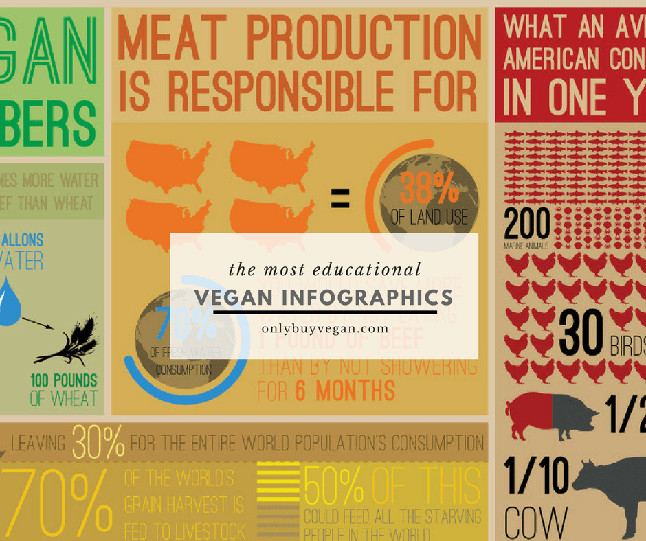 Infographic Vegan