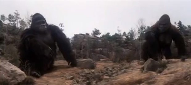 King Kong Lives Lady Kong