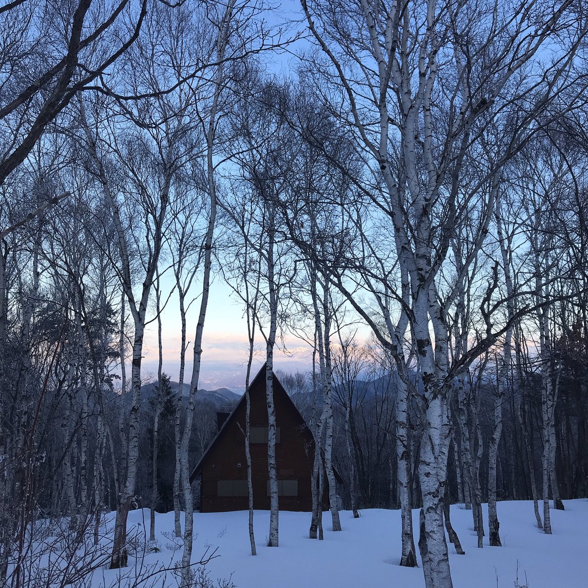 Python mini Hack-a-thon 雪山合宿2020 (3ページ目) - Togetter [トゥギャッター]