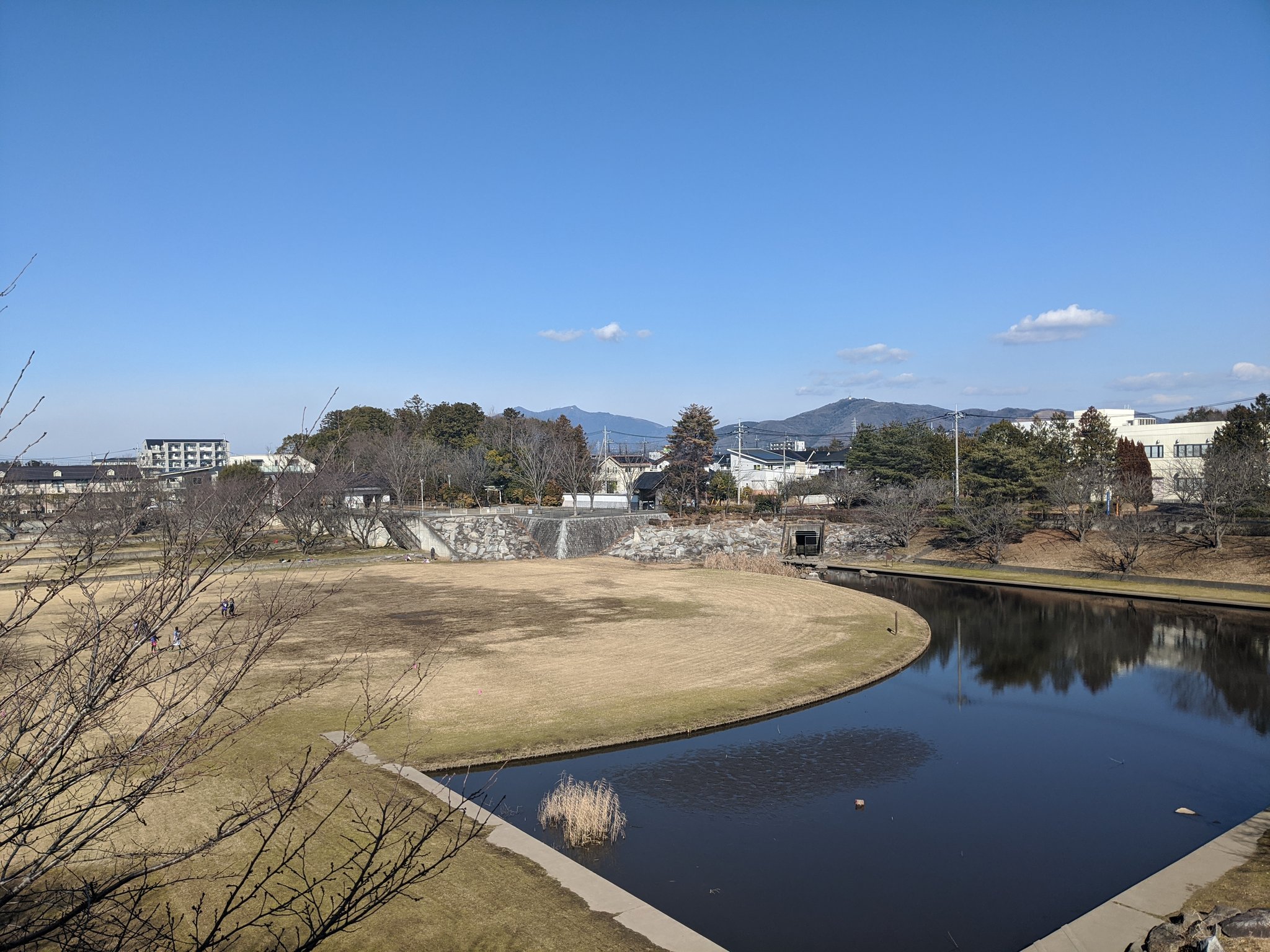 orefolder on Twitter: "おはようございます。1月19日(日)晴れ。 まだ午前中なのでセーフ。初めて筑波実験植物園に行ってきました。カメラのサンプル撮りには良さそう。また春 ...