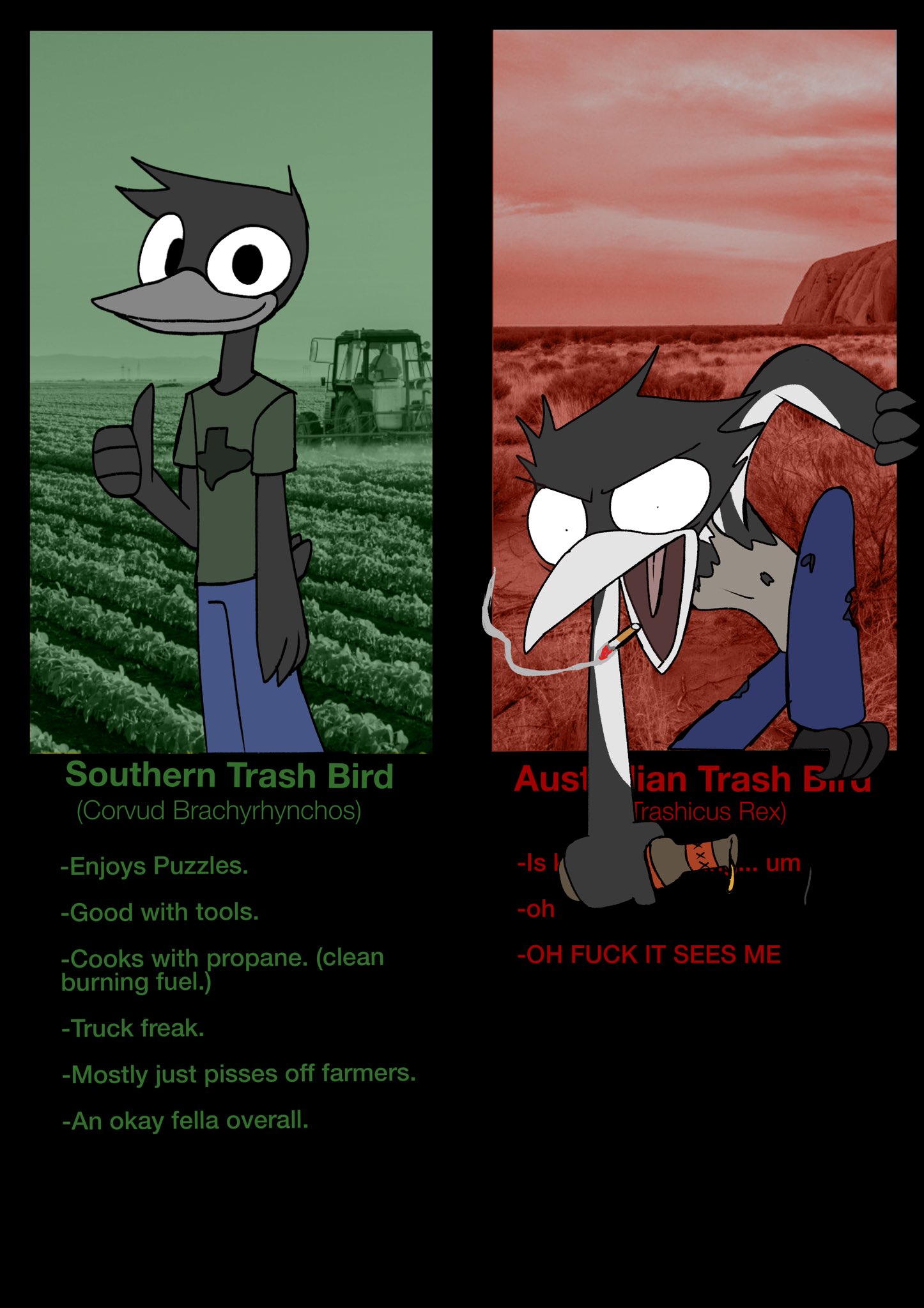 Oooh Burn Regular Show