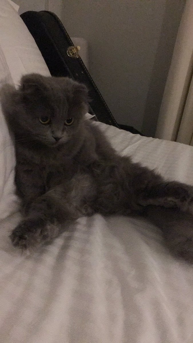 frostbyte (@frostubyte) | Twitter