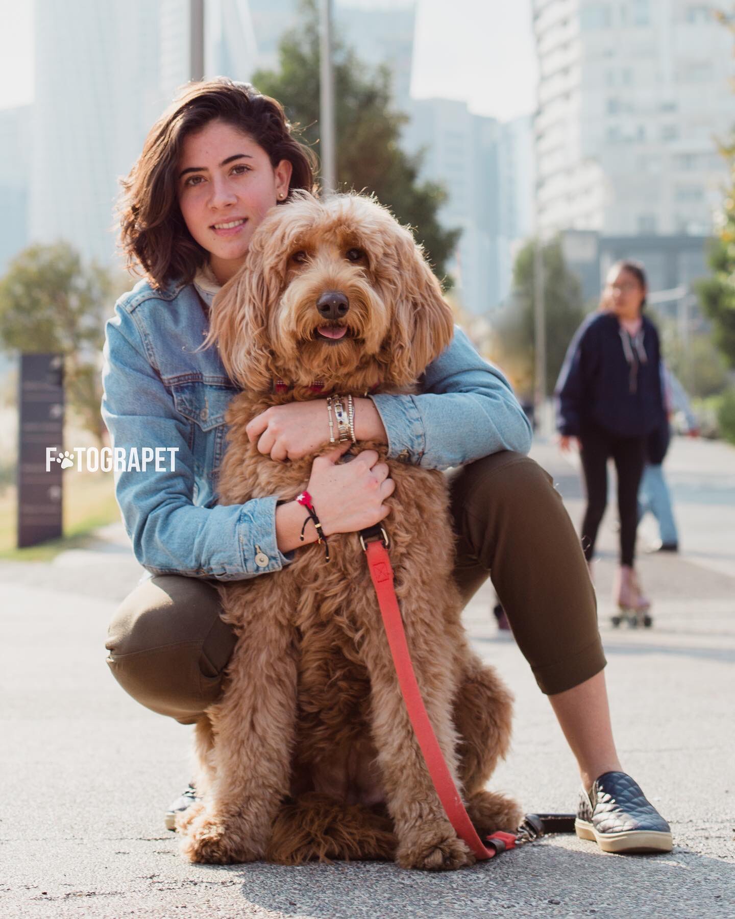 Una Raza De Perro Goldendoodle