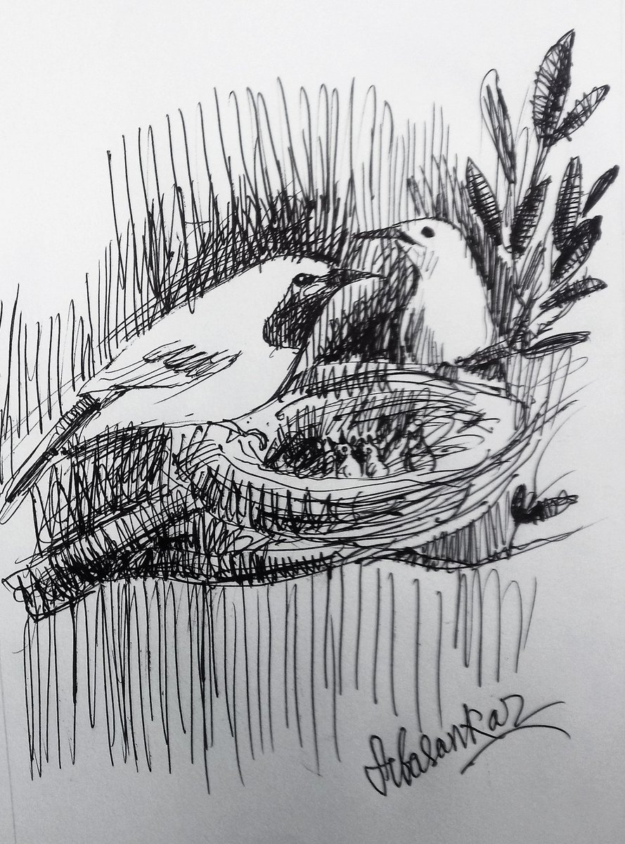 Thread by @chitrakathakaar: ଇଟିକିଲି ମିଟିକିଲି ଆରି ଗନିଆ (In Desia ...