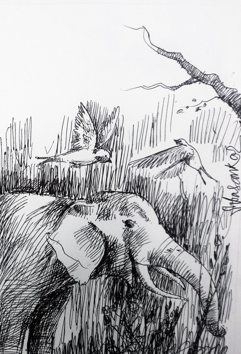 Thread by @chitrakathakaar: ଇଟିକିଲି ମିଟିକିଲି ଆରି ଗନିଆ (In Desia ...