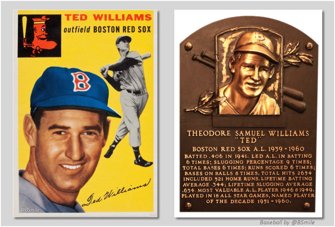 Ted Williams Baseball Player Hall Of Fame
