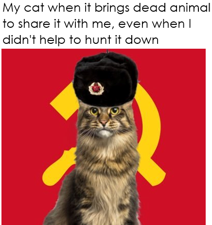 Communist Cat Meme