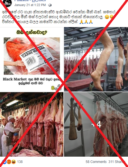 Human Meat Human Meat