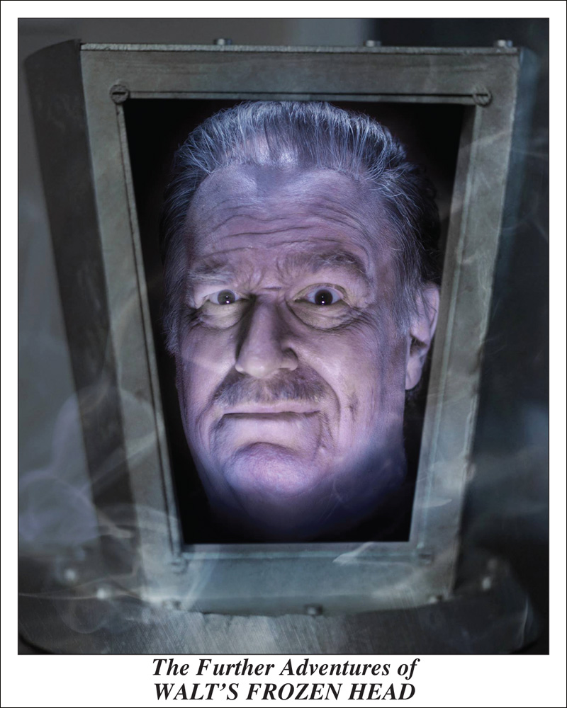 Walt Disney Frozen Head Real Picture