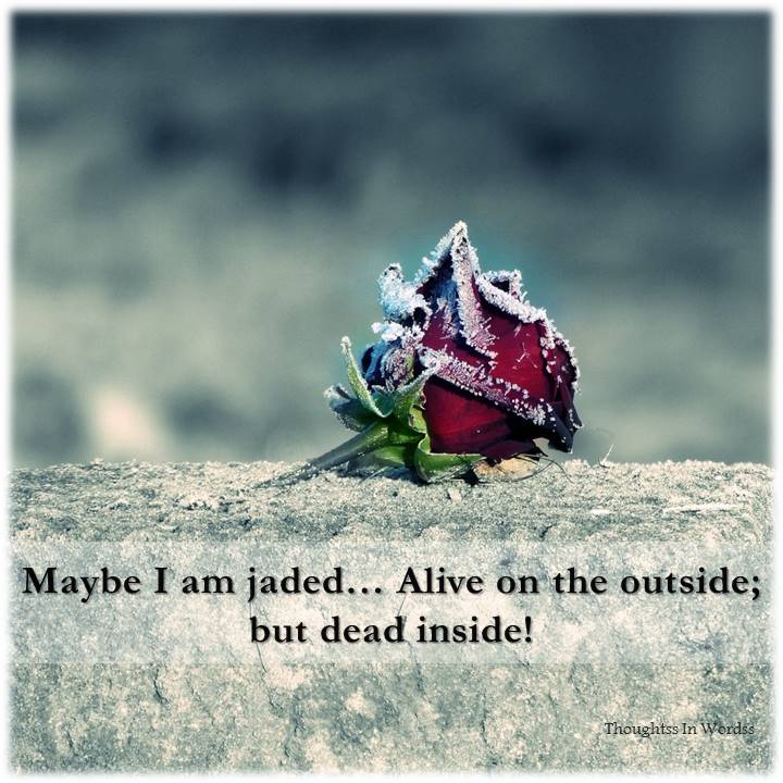 Jaded Quotes