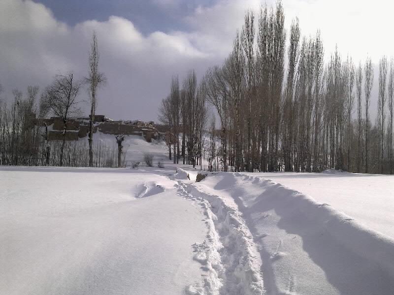 Bismillah Sofizada (@BismillahSofiz1) | Twitter