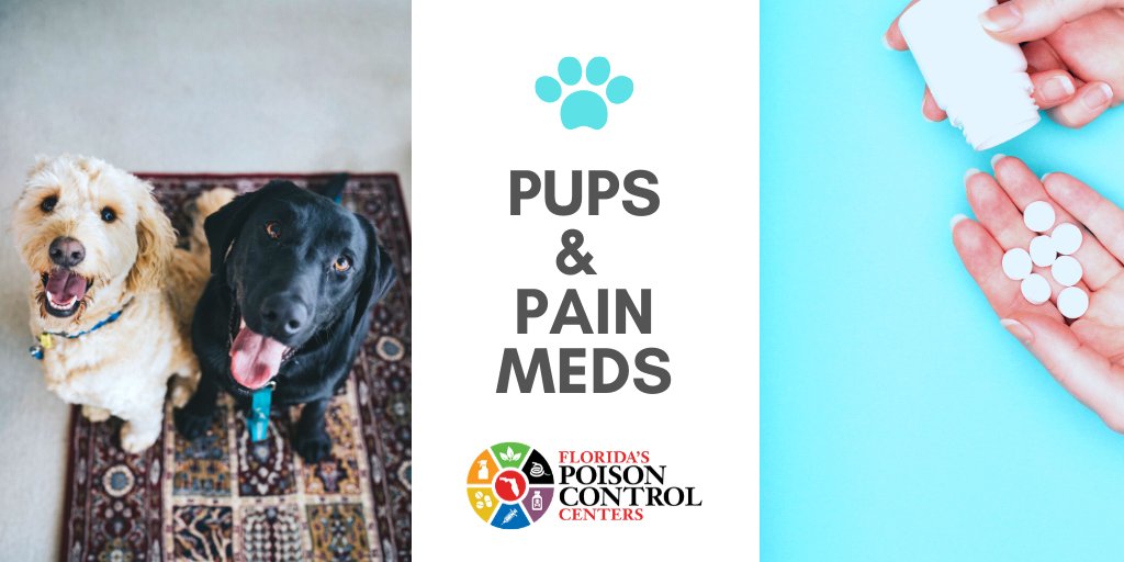 Home - Florida's Poison Control Centers