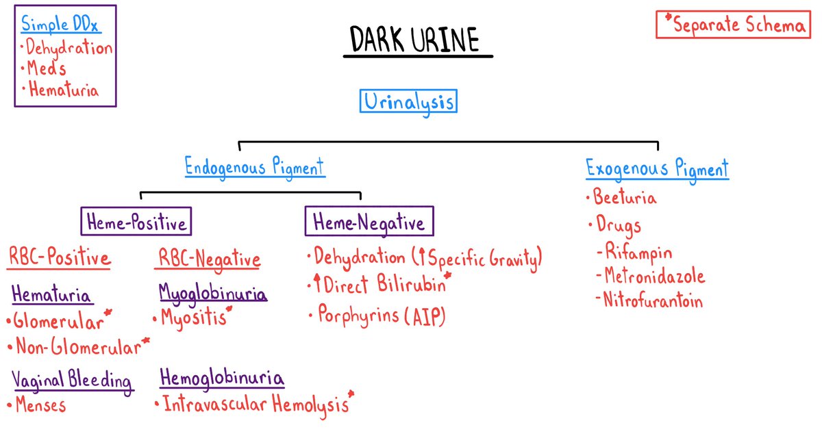 Hemoglobinuria Vs Myoglobinuria