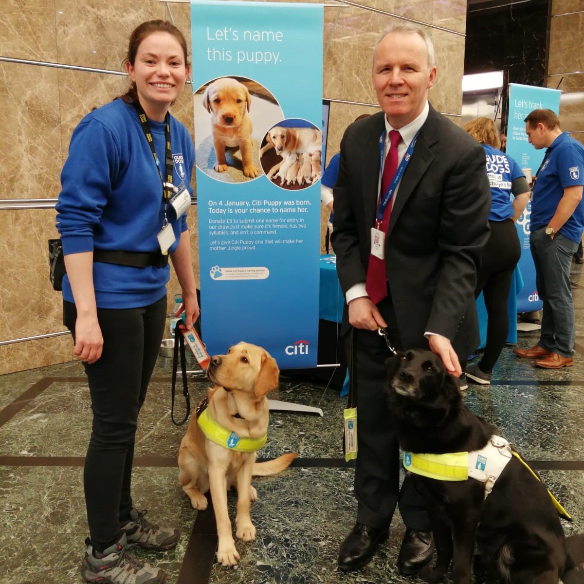 Can Guide Dogs Go Into Restaurants