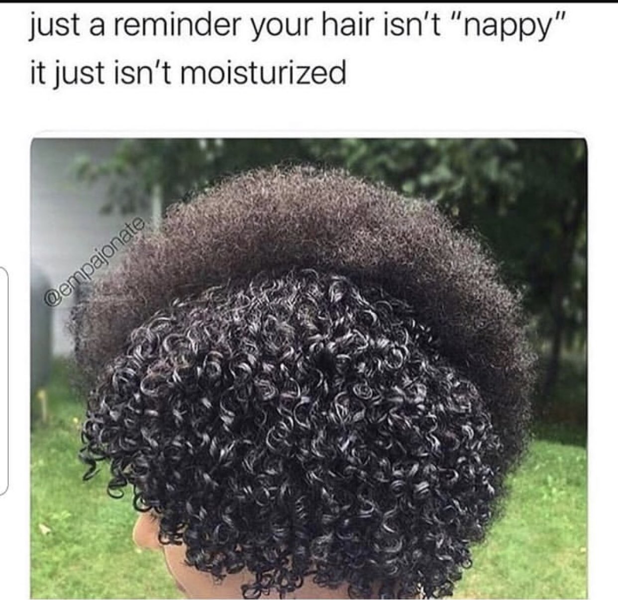 Nappy Hair Meme