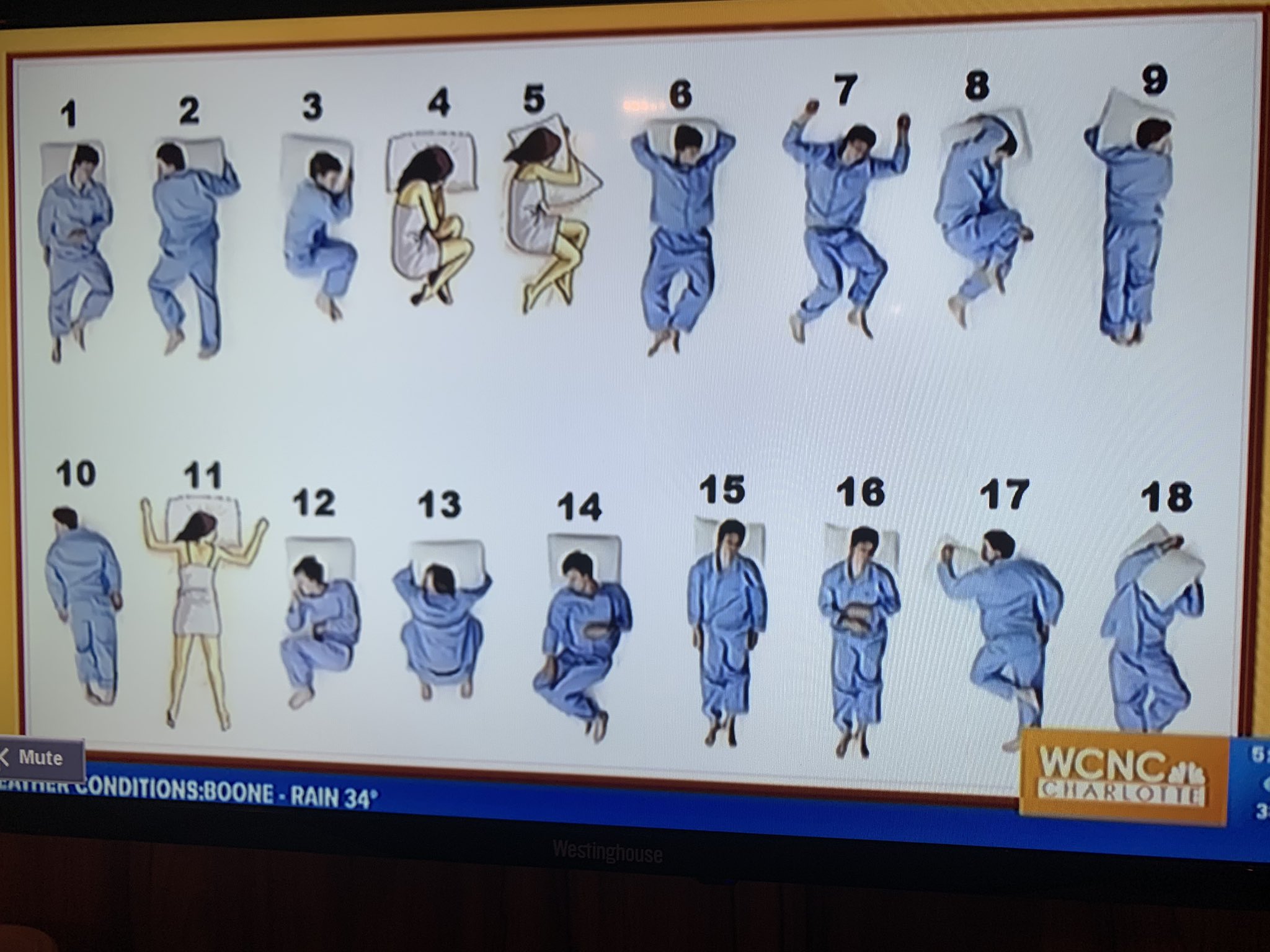 Sleep Position Memes 30 Hilarious Sleeping Cat Memes That Will Melt