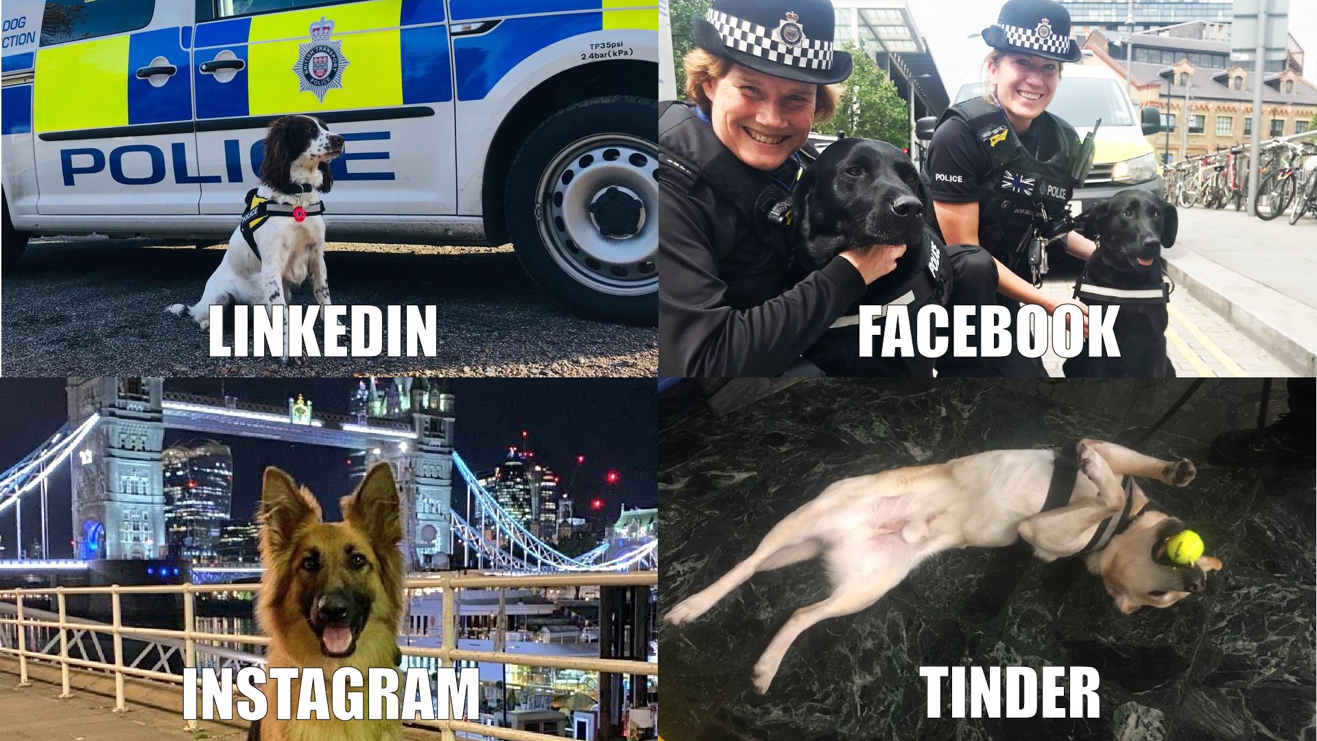 Victorian Police Memes Pin By Shane Carder On Crown Victoria Police