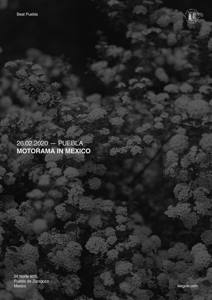 Omar Atriano (@Ominsson) | Twitter