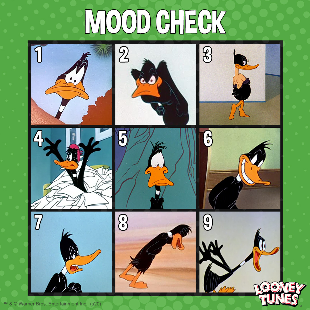 Looney Toons Cartoon Check